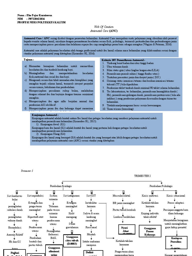 Woc Anc Nandini | PDF