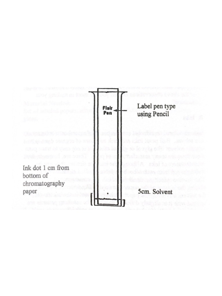 Label Pen Type | PDF