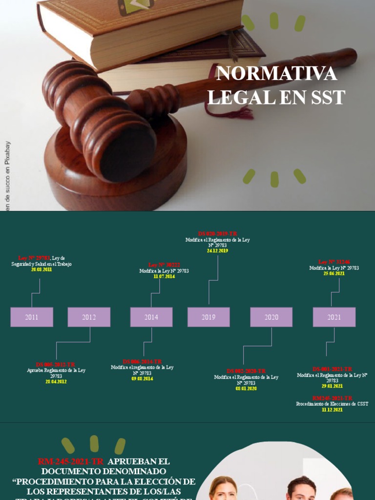 Normativa Legal en SST | PDF