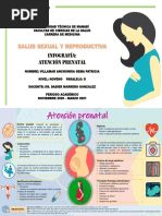 Carnet de Control Prenatal | PDF