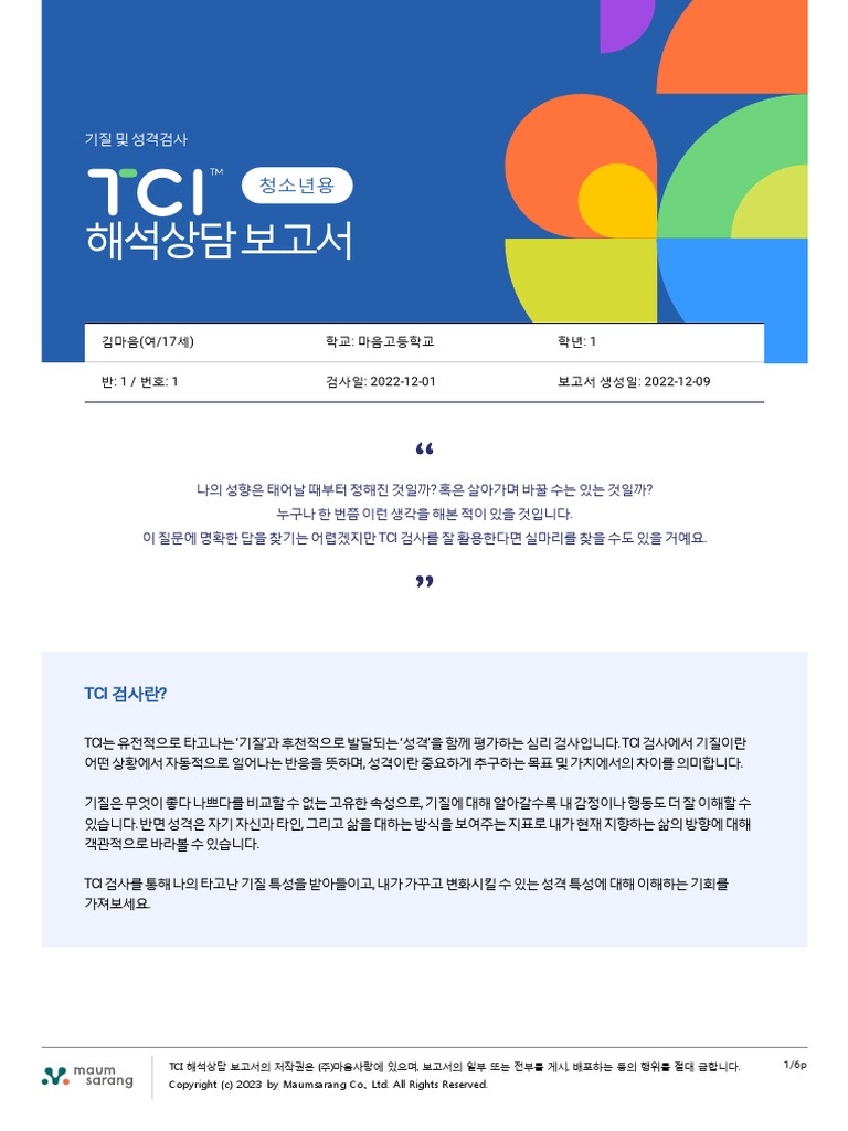 TCI해석상담보고서 청소년용 Sample | PDF