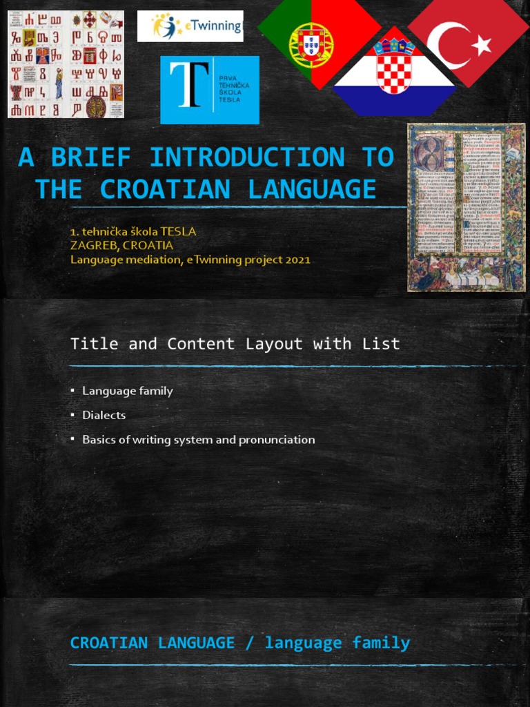 A BRIEF INTRODUCTION TO THE CROATIAN LANGUAGE | PDF