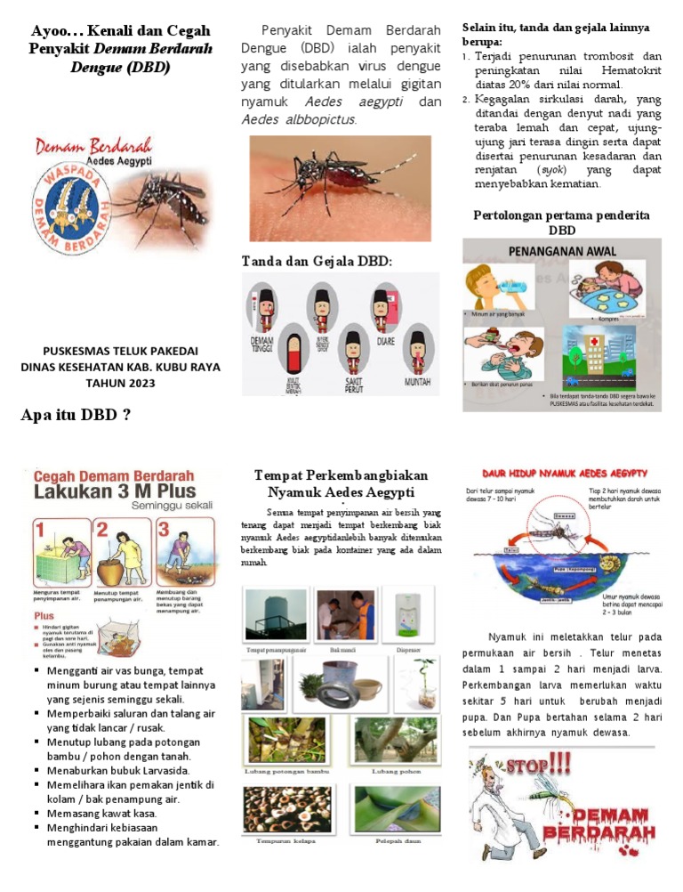 LEAFLET DBD | PDF