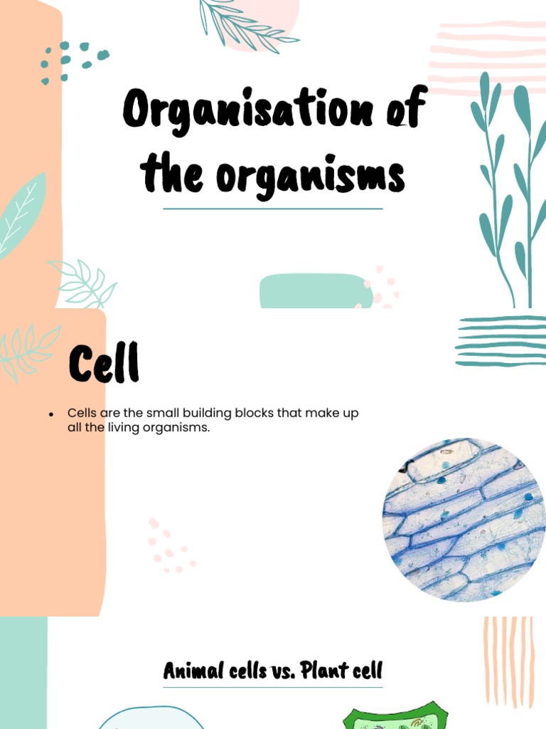 Cell Structure for Students | PDF | Cell (Biology) | Cytoplasm