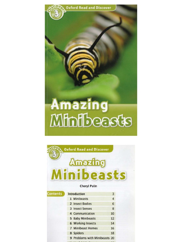 Amazing Minibeasts | PDF