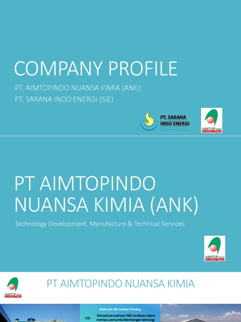 Company Profile Ank-Sie | PDF
