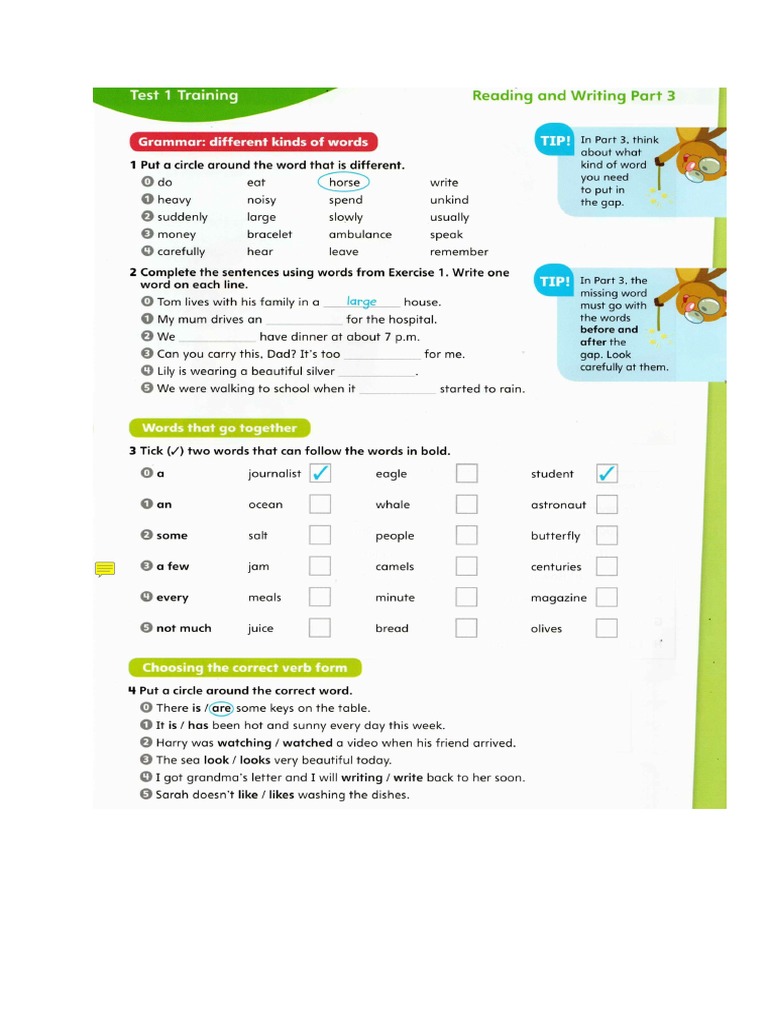 Flyers Exercise | PDF