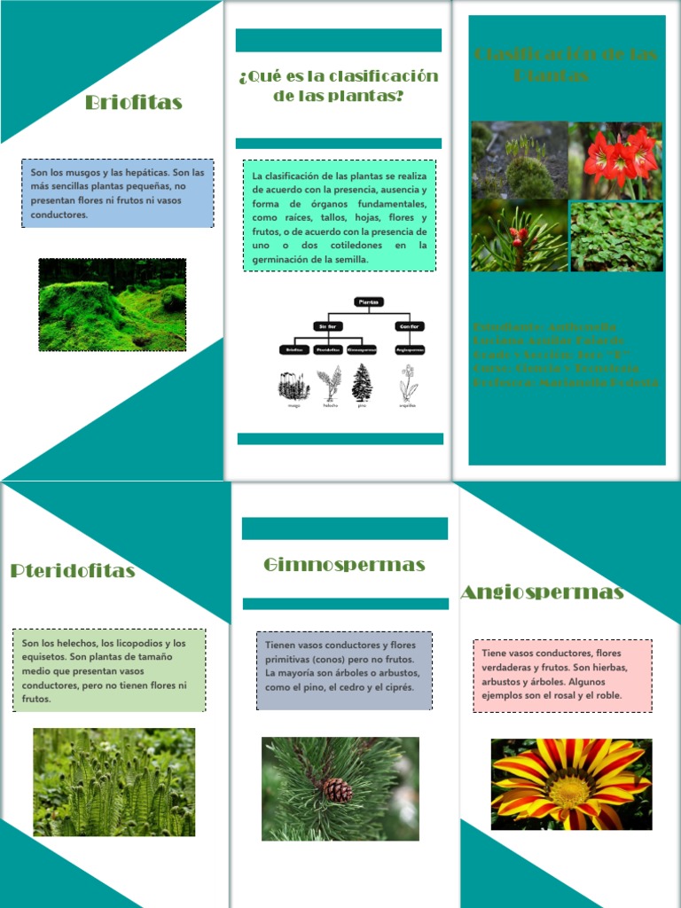 Anthonella Aguilar - Triptico | PDF