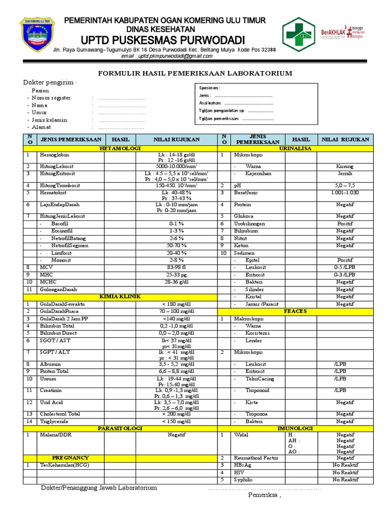 Blangko Hasil Lab | PDF