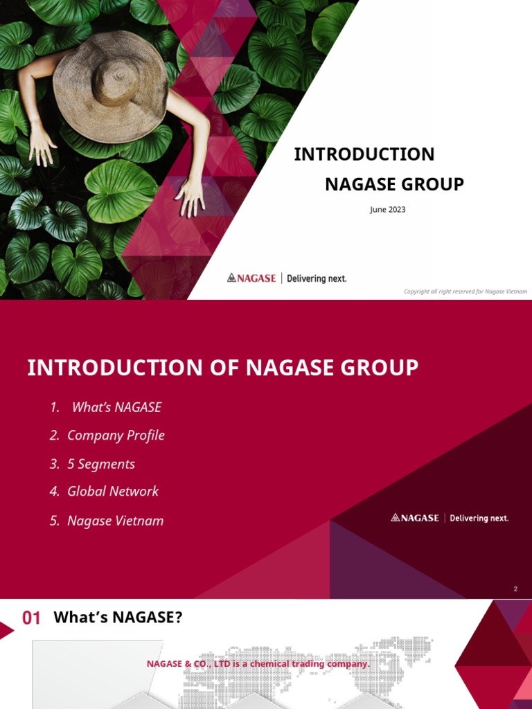 Final English Ver (NVN-ZB-NJP) | PDF | Business | Economies