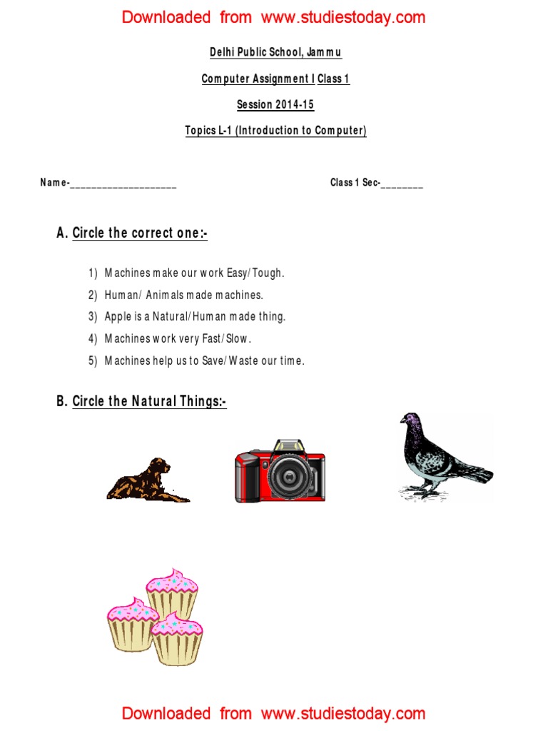 Class 1 Computer Assignment Overview | PDF