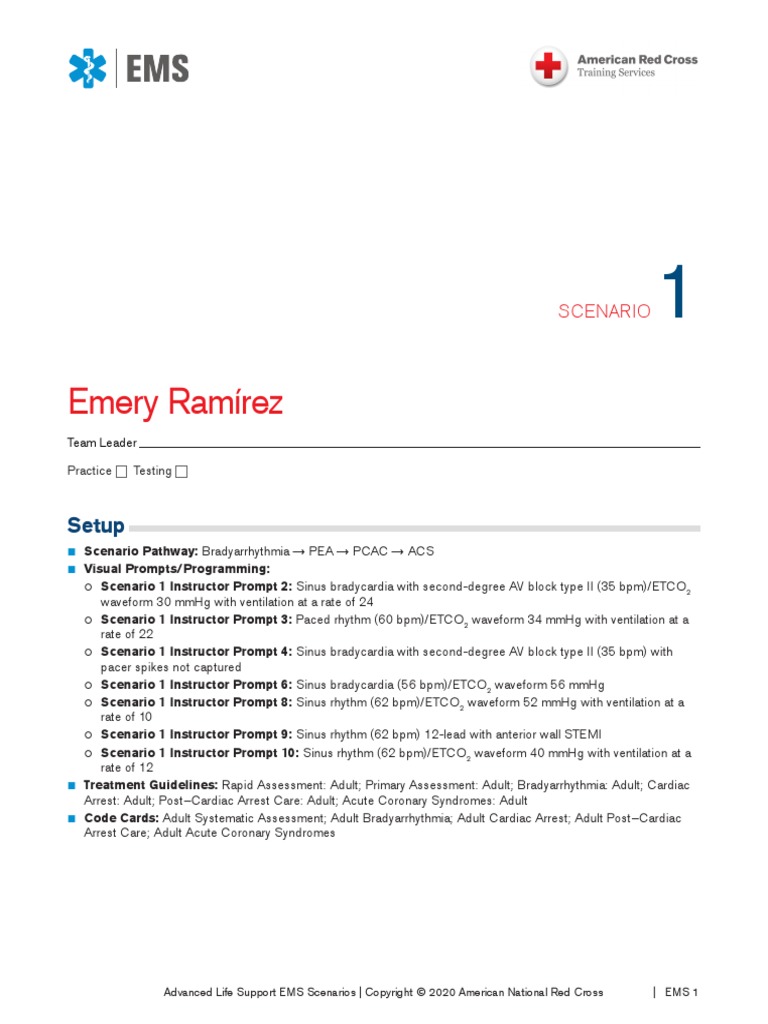 Advanced Life Support EMS Scenarios | PDF | Cardiopulmonary ...