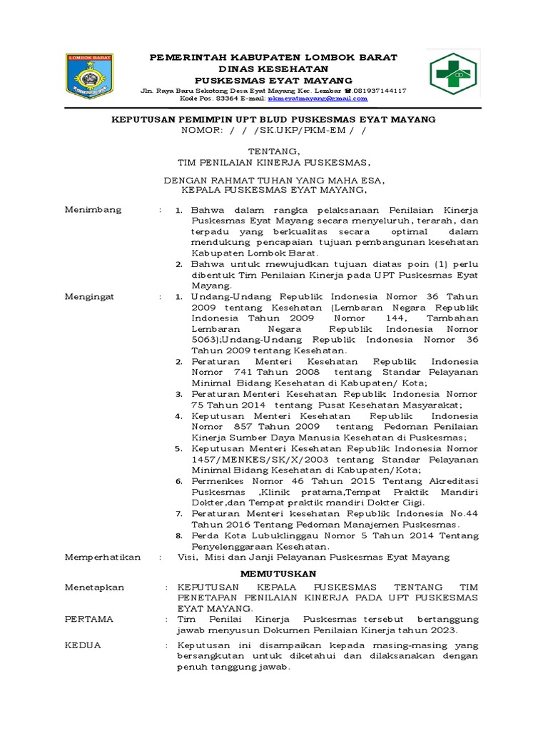 SK TIM PENILAIAN KINERJA PUSKESMAS | PDF