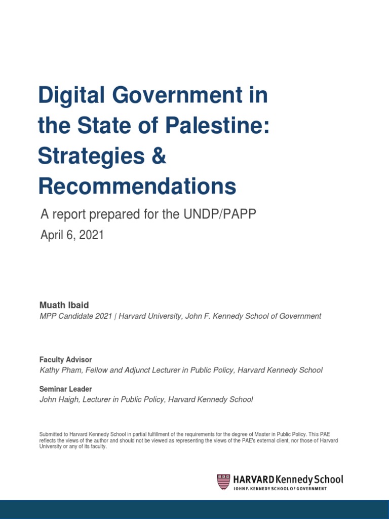 UNDP Papp Research DigitalGov | PDF