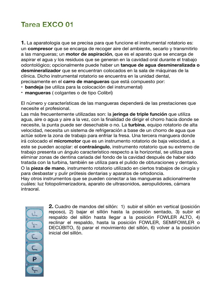 Betti - Beatrice - EXCO01 - Tarea | PDF | Odontología | Agua