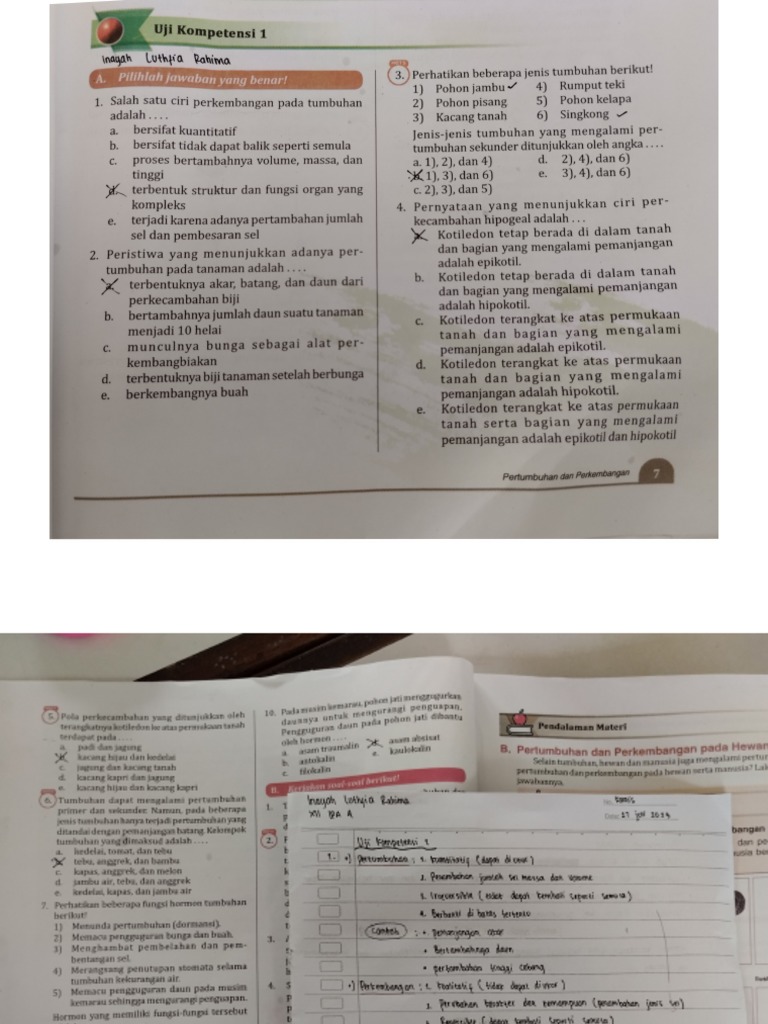 Inayah Luthfia Rahima (12 IPA 4) 15 | PDF