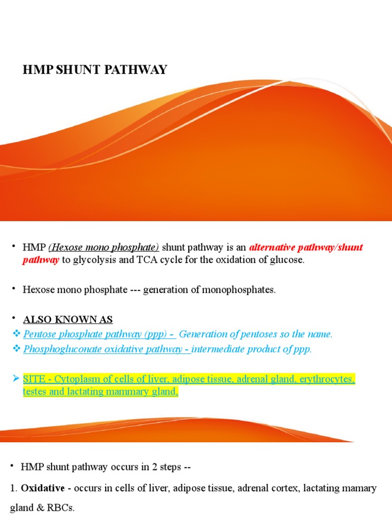 HMP Shunt Pathway Overview and Significance | PDF | Biosynthesis ...