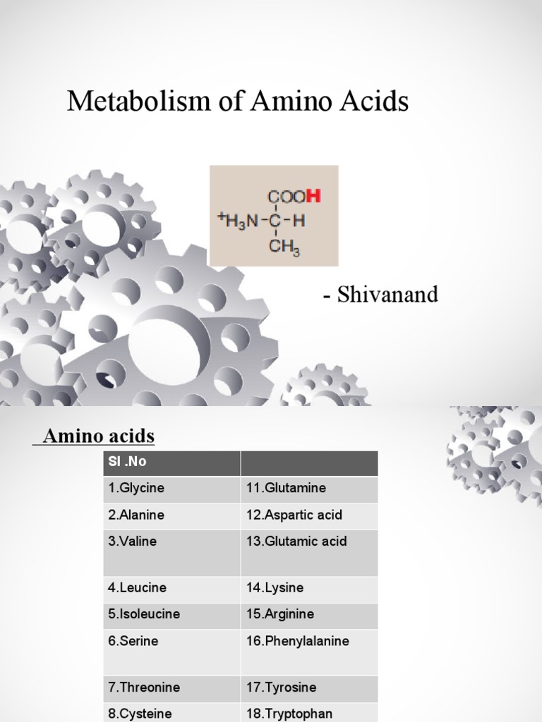 Class Notes of Amino Acid Metabolism | PDF | Amino Acid | Biosynthesis