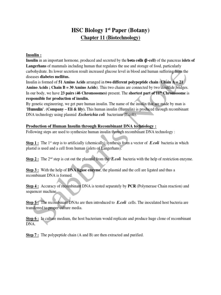 Human Insulin Production via E. coli | PDF