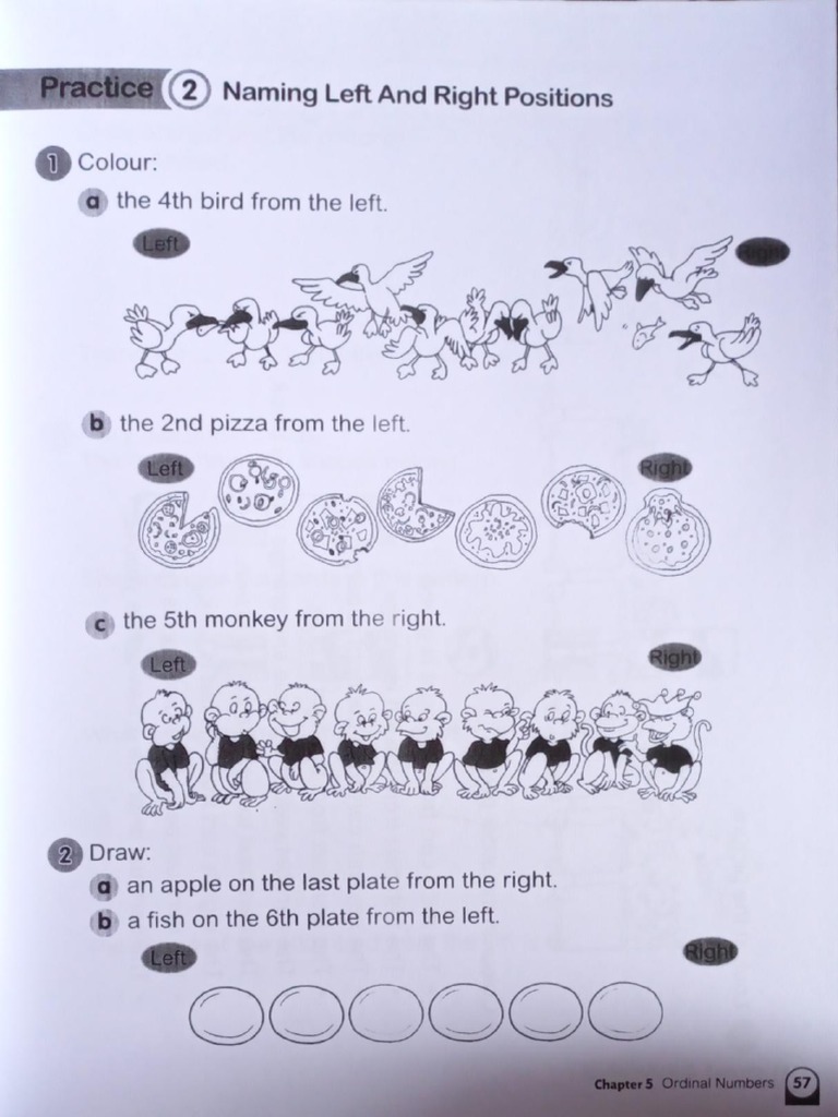 Practice 2 Naming Left and Right Positions | PDF