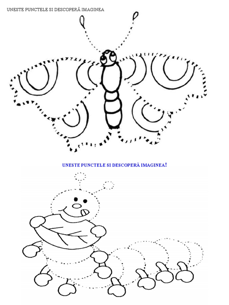 Fisa Ala Arta Insecte Uneste Punctele | PDF