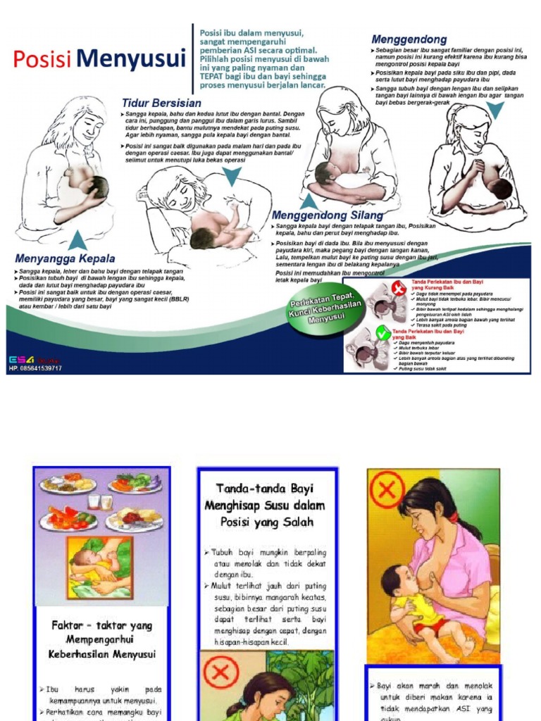 LEAFLET MENYUSUI | PDF
