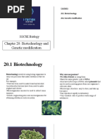 Chapter 17 Notes Igcse Edexcel Biology | PDF | Ploidy | Meiosis