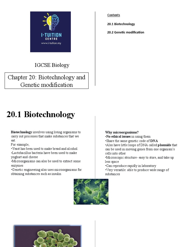 Chapter 20 Biotechnology and Genetic Modification | PDF