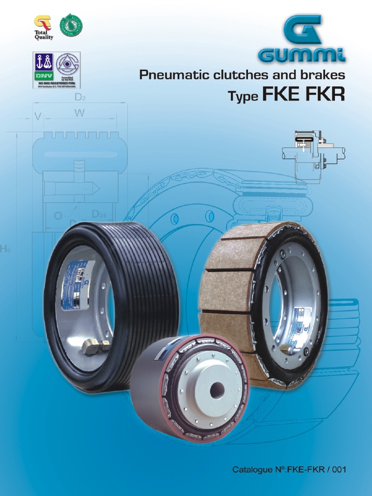 FKE and FKR Clutch Element Overview | PDF | Clutch | Friction