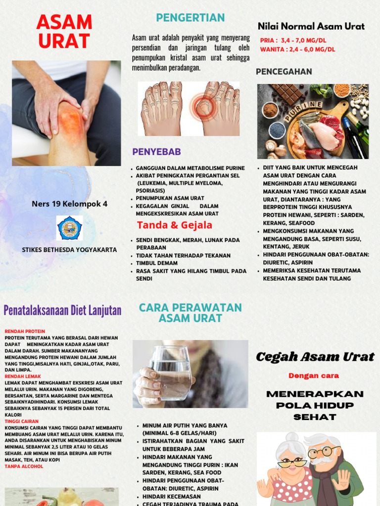 Leaflet Asam Urat Kelompok 4 Pdf