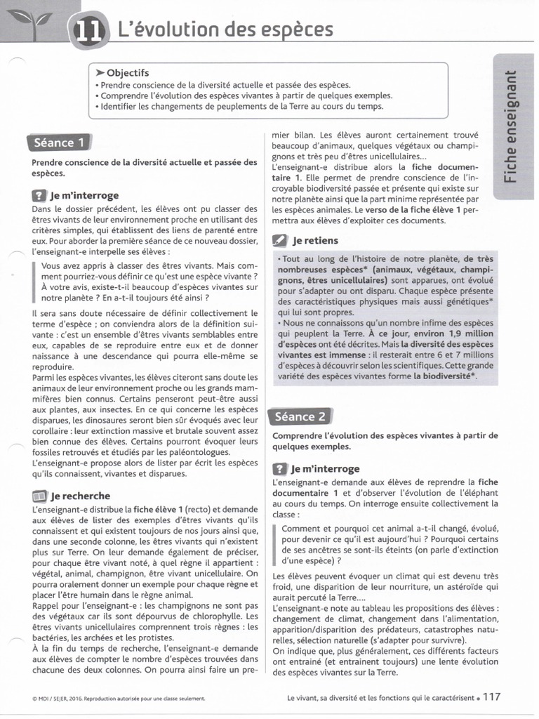 MDI Sciences (Cycle 3) 11 - L'évolution Des Espèces | PDF