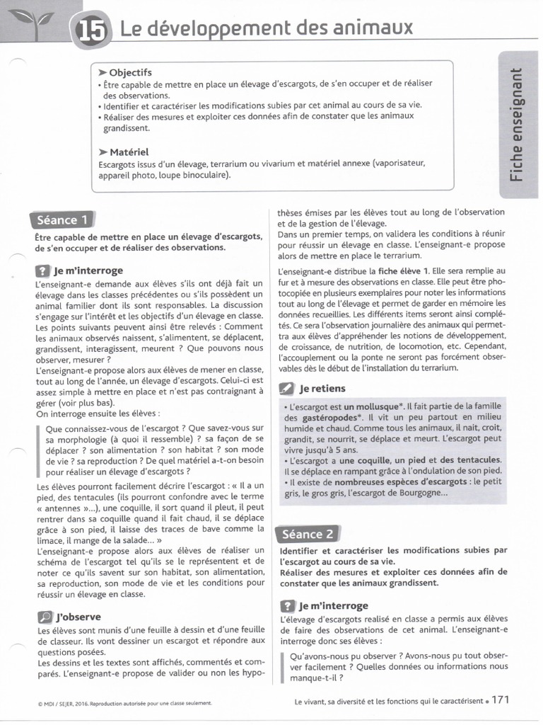 MDI Sciences (Cycle 3) 15 - Le Développement Des Animaux | PDF