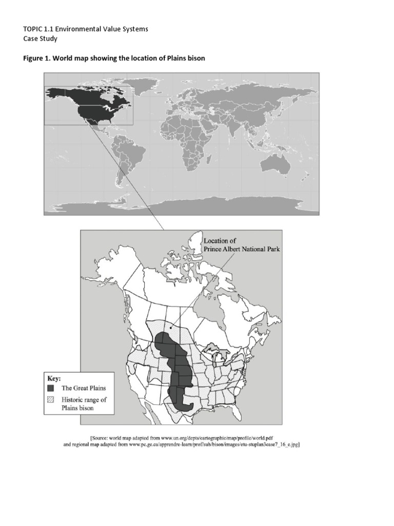 01 - Bison Case - Study | PDF | Bison | American Bison