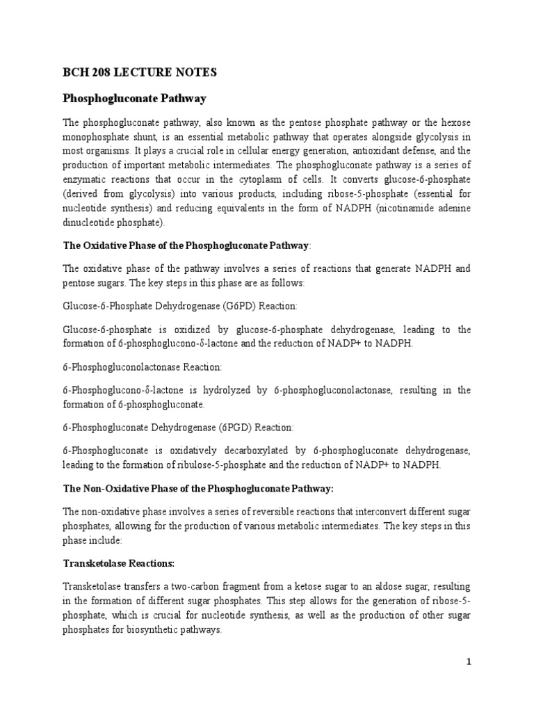 Bch 208 Lecture Notes | PDF