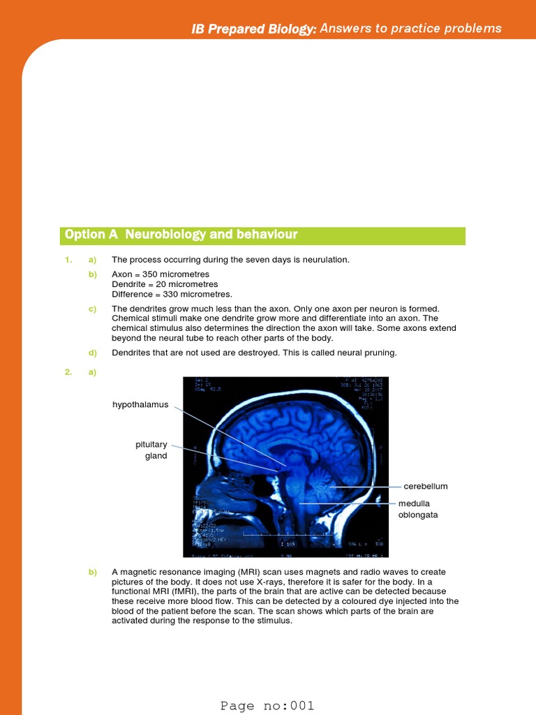 IB Diploma Biology Option A Neurobiology and Behaviour Answers To ...