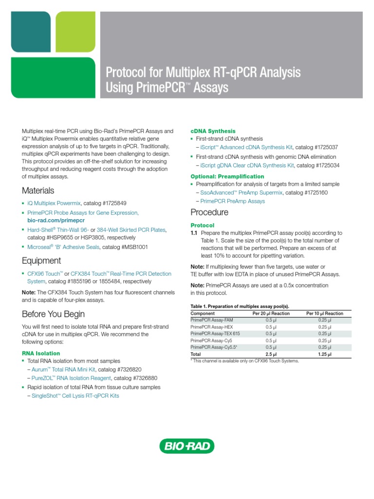 Pcr Multiplex Download Free Pdf Real Time Polymerase Chain Reaction Polymerase Chain Reaction