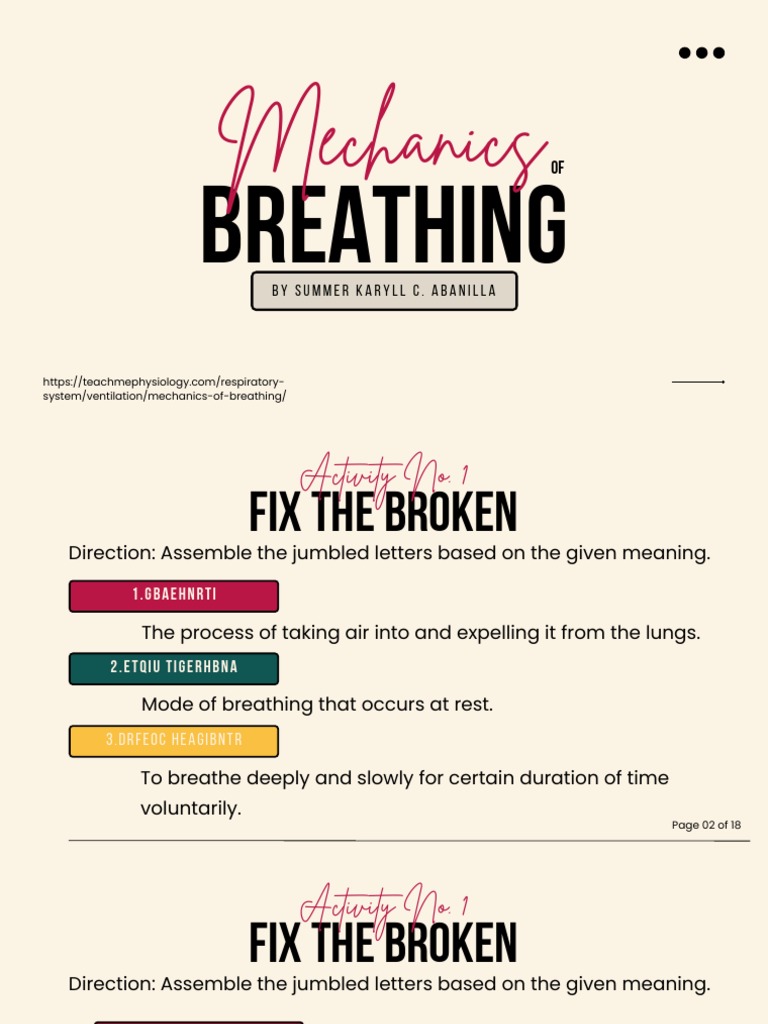 Mechanics of Breathing Explained | PDF | Breathing | Thorax