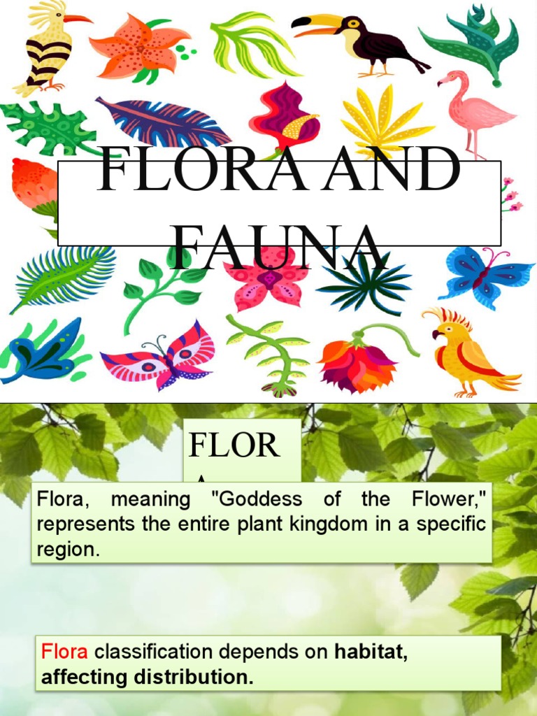 FLORA AND FAUNA ppt | PDF