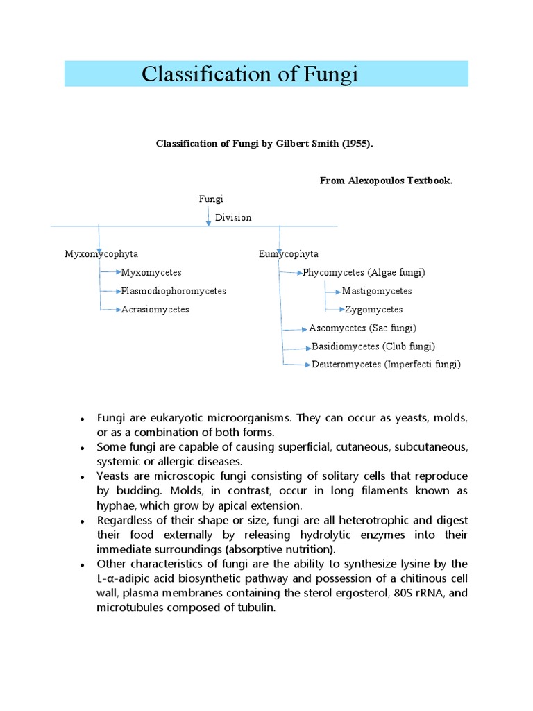 Classification of Fungi | PDF | Home & Garden | Wellness