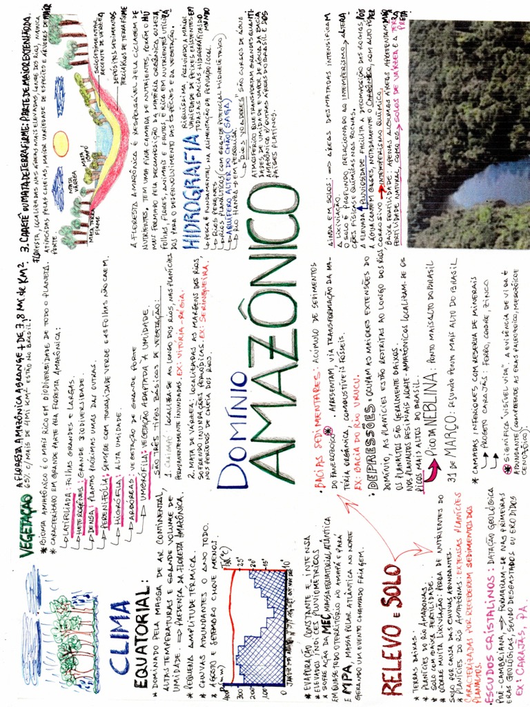 Mapa Mental Domínio Amazônico | PDF