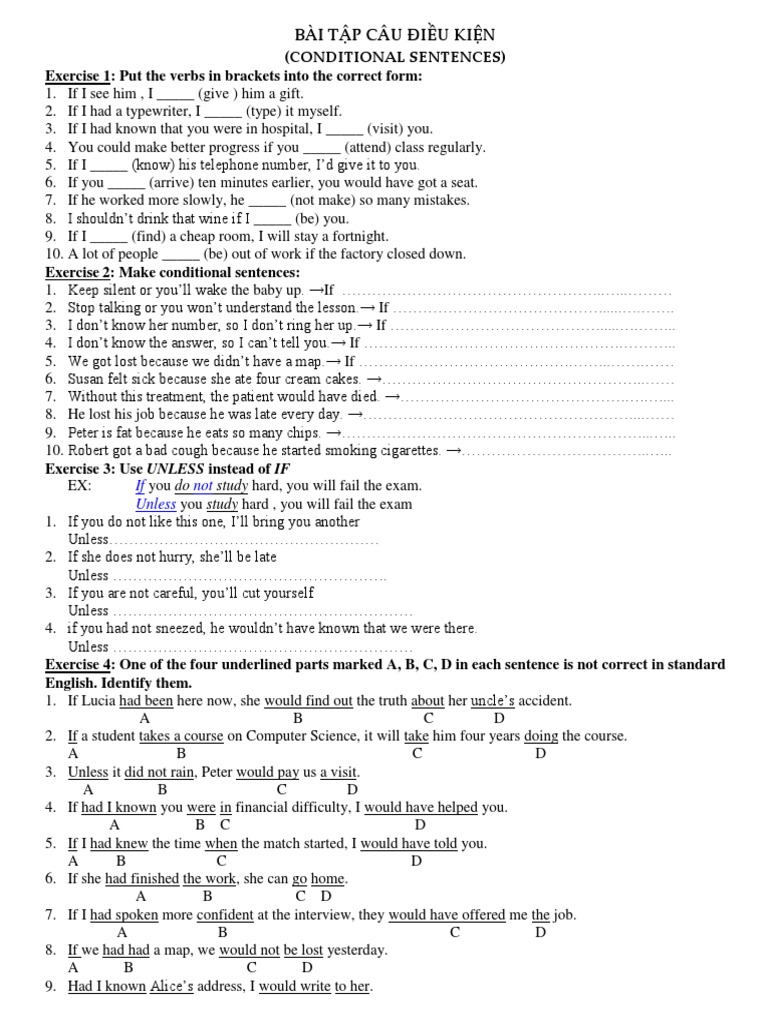 Conditional Sentence Exercises | PDF