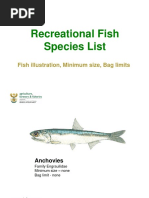 Queensland Fish Size and Bag Limits | PDF