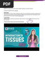 Class 9 Tissues Diagrams Booklet | PDF