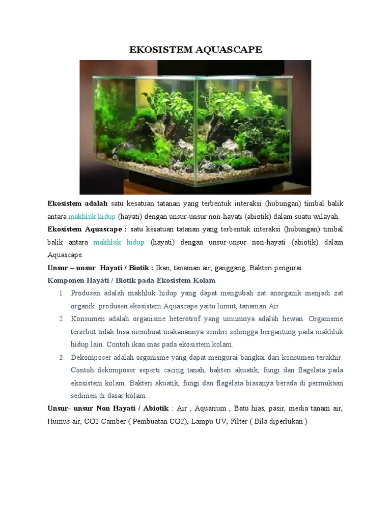Ekosistem Aquascape | PDF