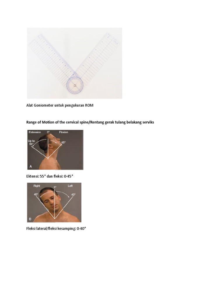 Ilmu Biomedik Dasar ROM | PDF