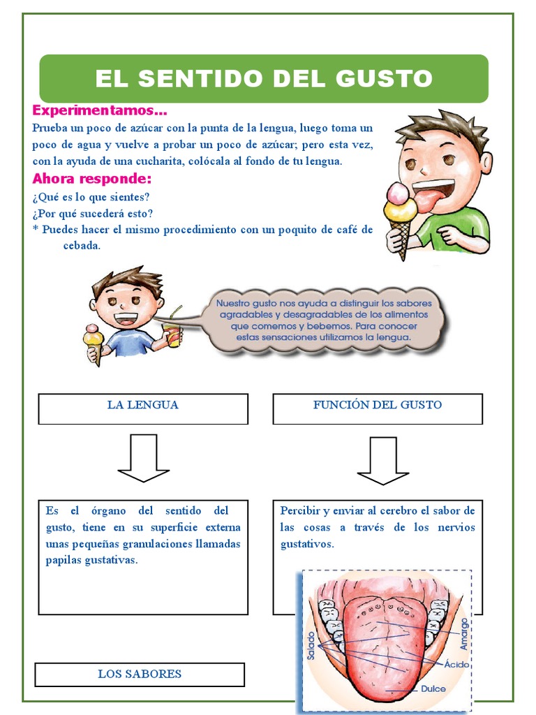 Hojas De Trabajo Sobre El Sentido Del Gusto