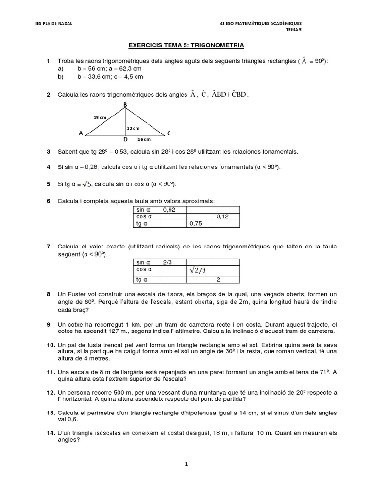 Exercicis T5 Trigonometria (1a hoja) | PDF