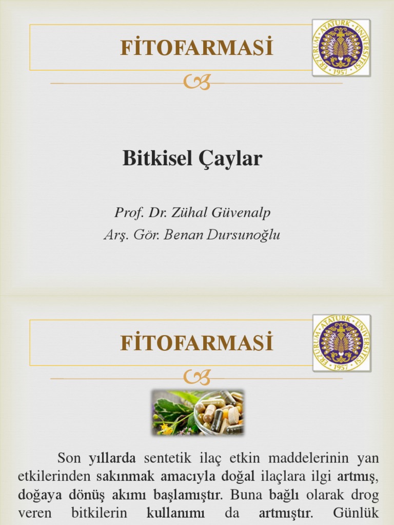 Bitkisel Çaylar | PDF