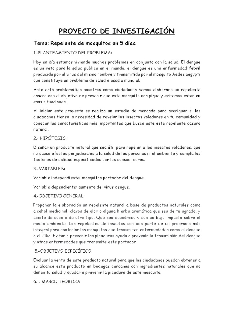 MODELO DE PROYECTO | PDF