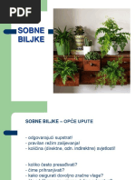 Prirucnik Za Cvece PDF | PDF